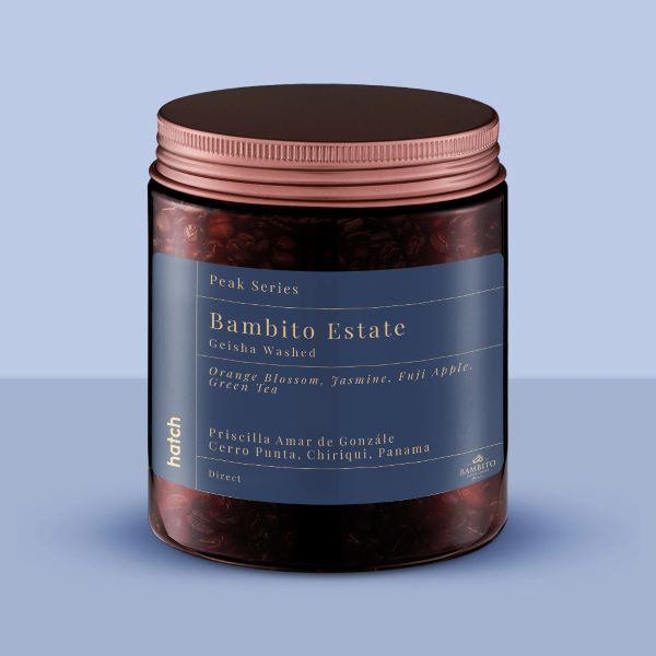 Hatch - Bambito Estate: Geisha Washed – Eight Ounce Coffee