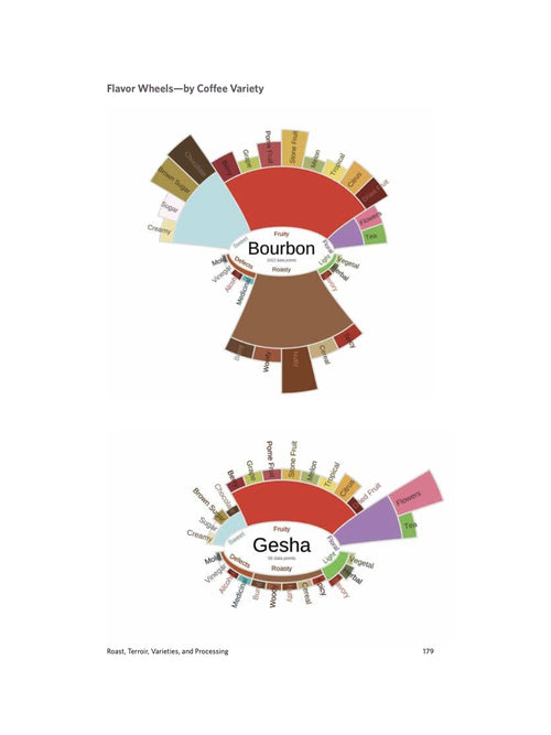 The Physics of Filter Coffee – Eight Ounce Coffee