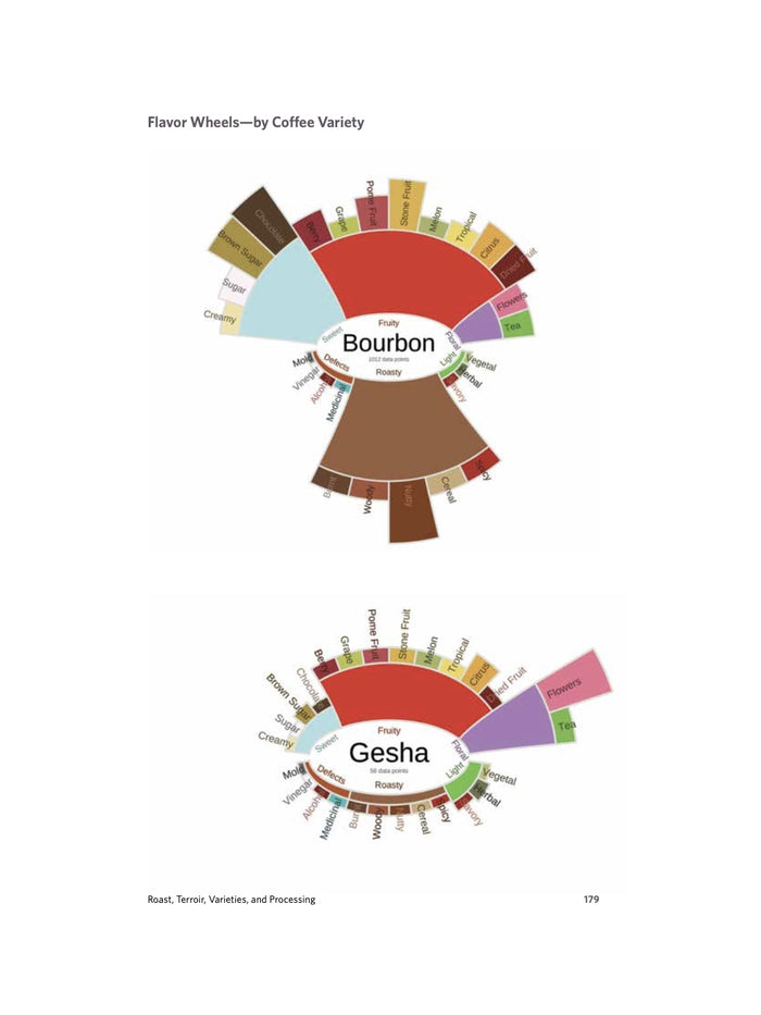 The Physics of Filter Coffee – Eight Ounce Coffee